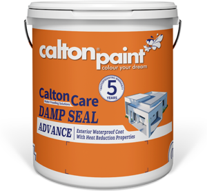 Calton Care Damp Seal Exterior Waterproofing Coat - Calton Paint